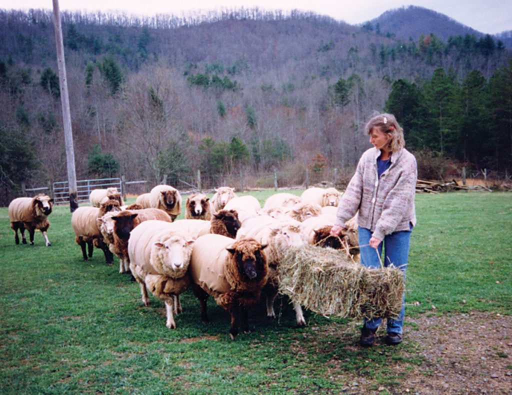 JCCFS | From Sheep to Shawl and Back Again: My Interview with Martha Owen