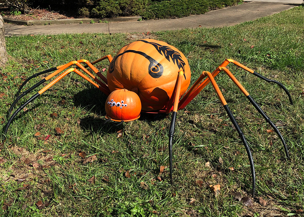 JCCFS | Elizabeth Belz Reflects on Creative Catalyst Fellowship