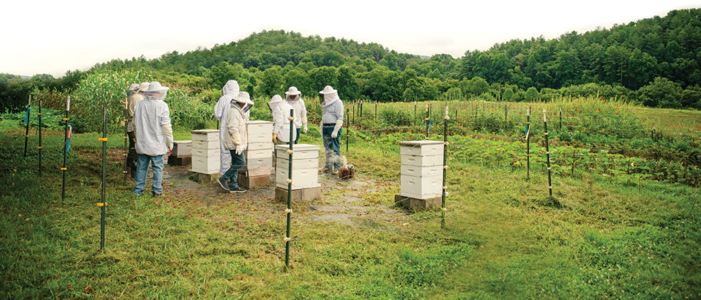 JCCFS | Cover Story: Beekeeping with Virginia Webb