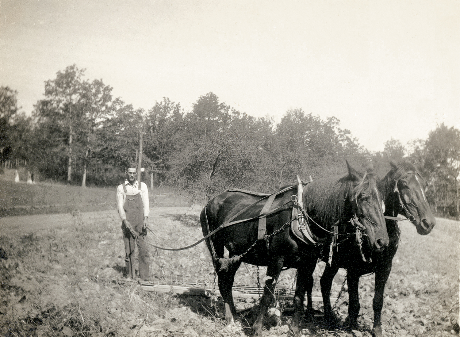 JCCFS | John C. Campbell Folk School